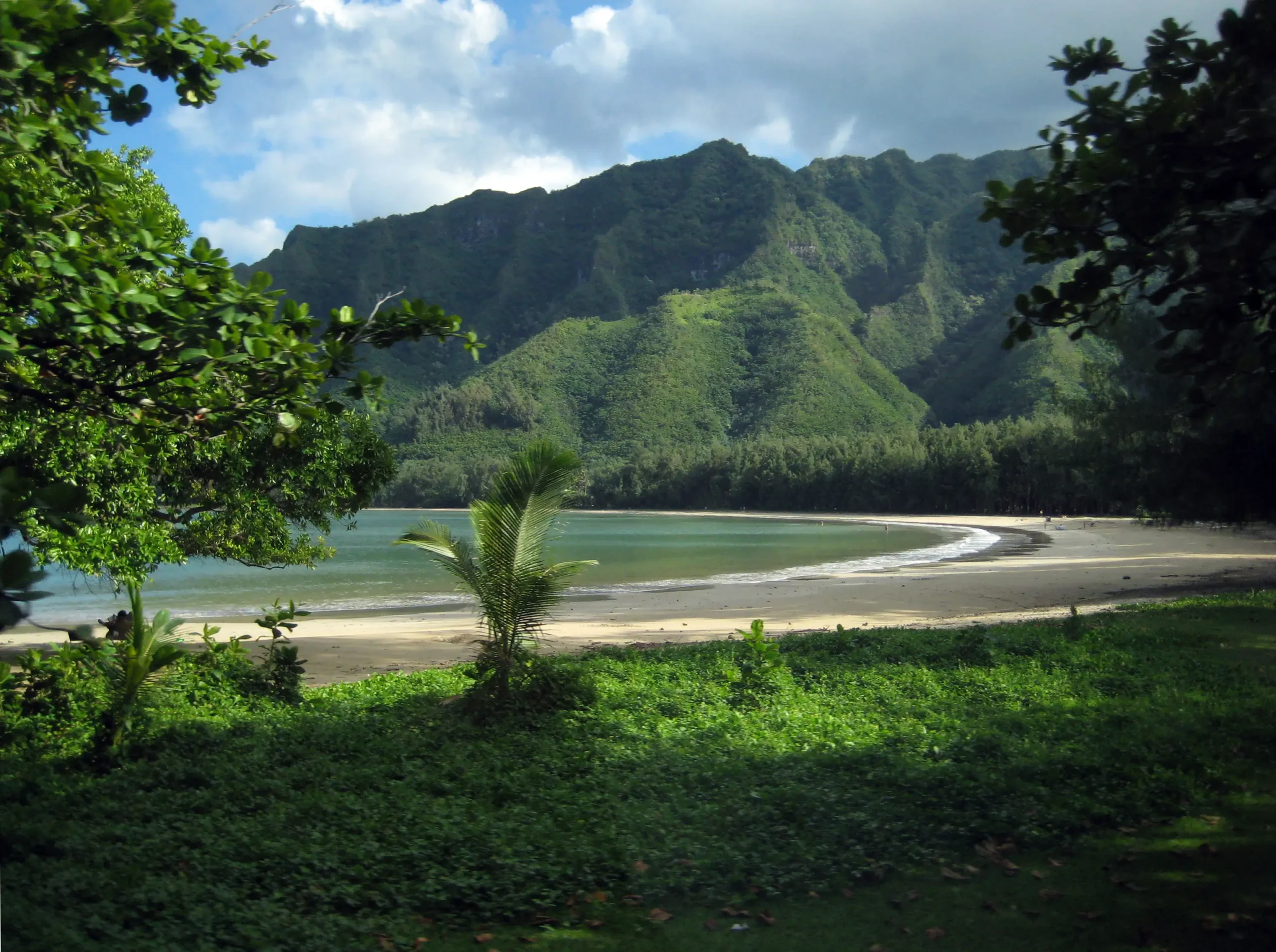 Hawaii Tours and Activities | Aloha Sunshine Tours